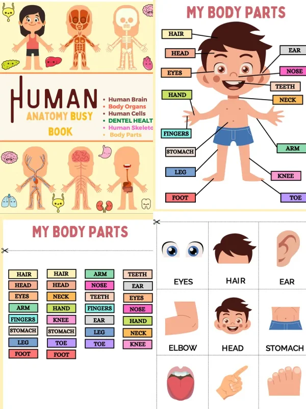Inside Me - Human Body Discovery Printables (240 Pages) - Smart Kid ...